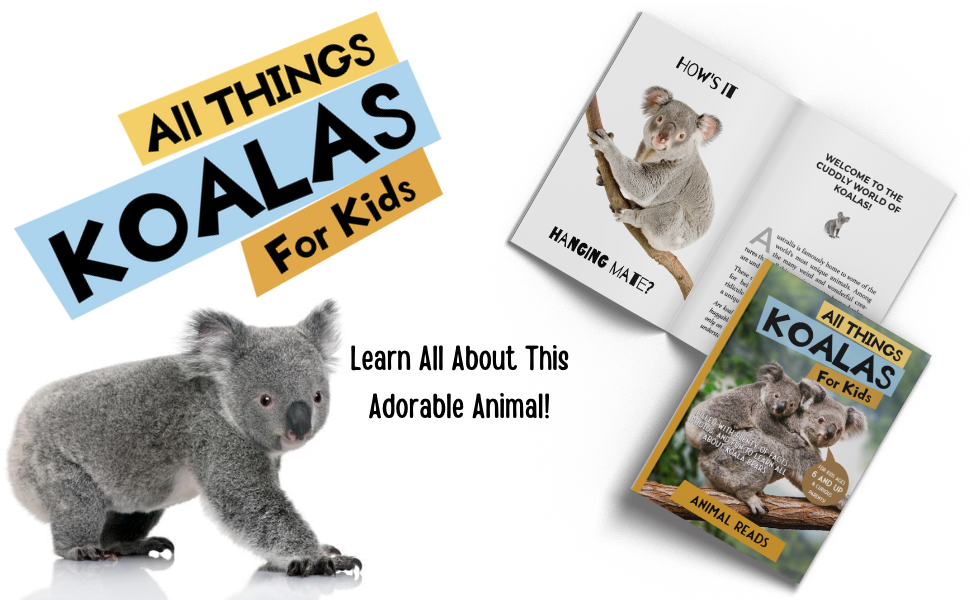All Things Koalas For Kids: Filled With Plenty of Facts, Photos, and ...