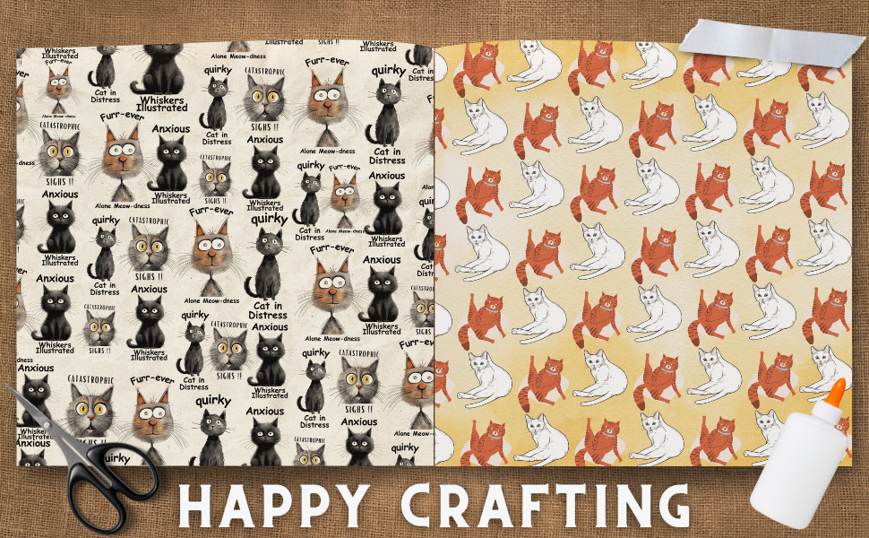 funny cats scrapbook paper, 8.5x8.5, 10 Designs, 20 Double-Sided Sheets ...