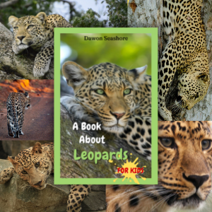 A Book About Leopards For Kids: Beautiful photos, interesting facts and ...