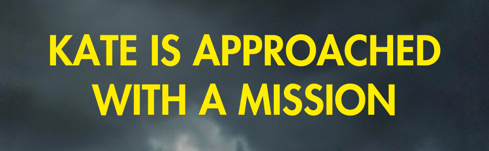 DIAMONDS ON THE LEVELS an addictive crime thriller full of twists (Detective Kate Hamblin ...