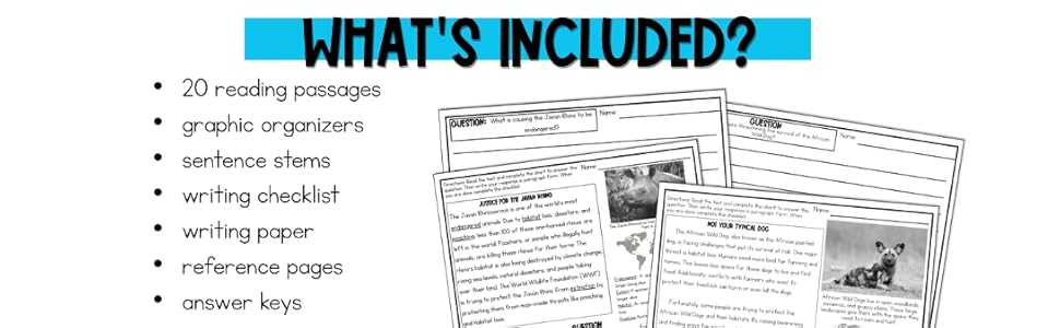 Writing Workbook for Grades 2 to 4 - Constructed Response Paragraph ...