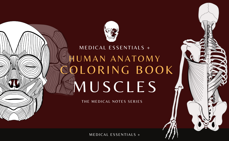 Human Anatomy Coloring Book: Muscles. Medical Notes | Detailed ...