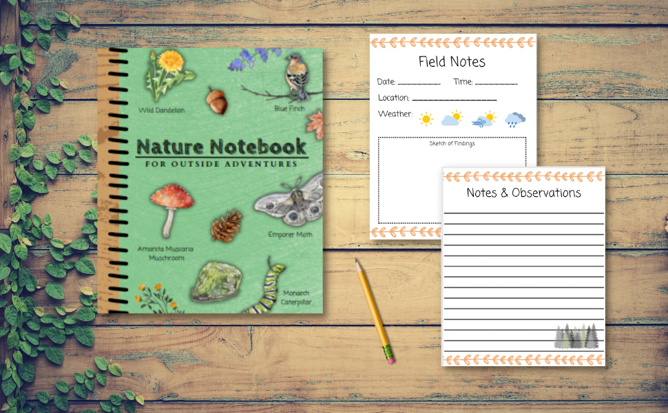 Nature Notebook for Outside Adventures: Wells, Natalie: Amazon.com: Books