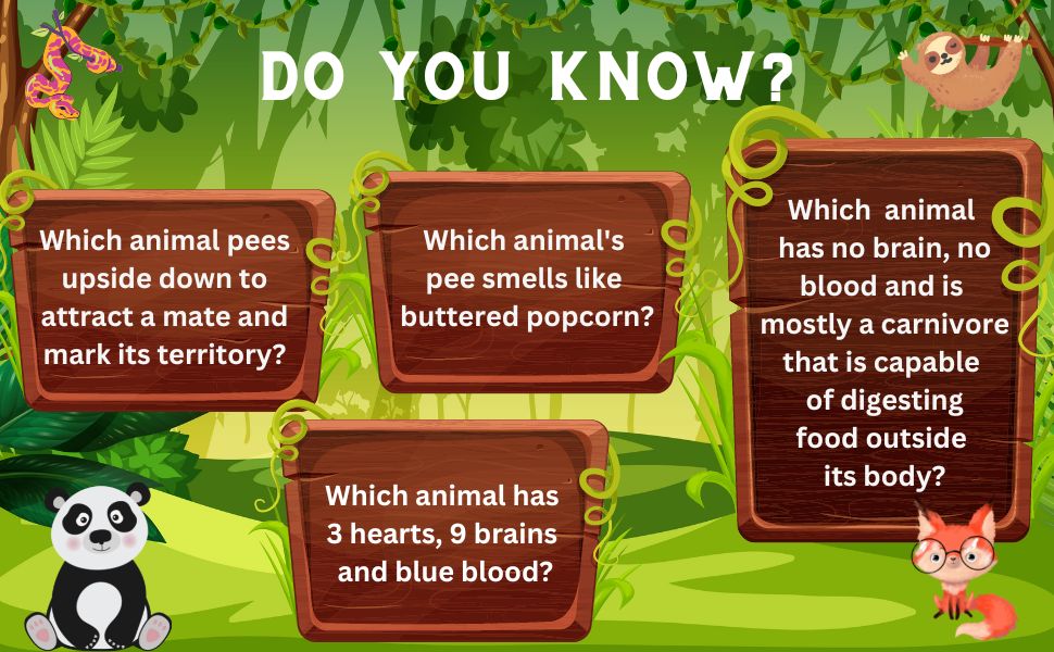 Family Trivia Game – Stop 1 – Amazing Animals: – 300 Multiple Choice ...