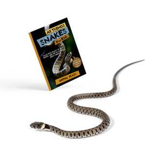 All Things Snakes For Kids: Filled With Plenty of Facts, Photos, and ...
