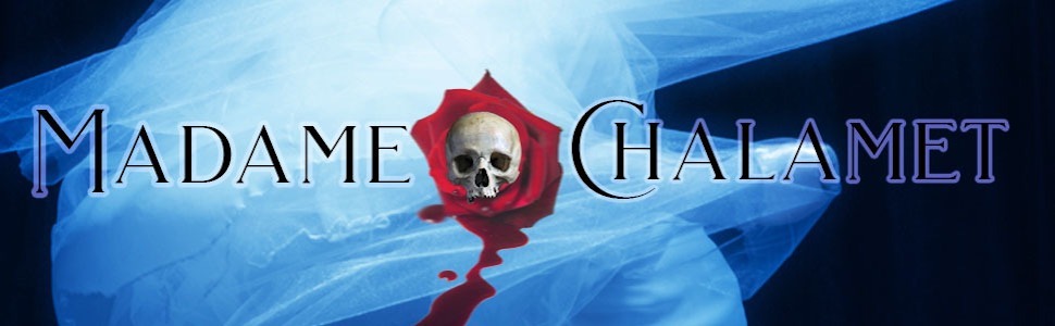 Amazon.com: Gray Lady: A Gaslamp Ghost Mystery Volume 4 (Madame Chalamet Ghost Mysteries) eBook ...