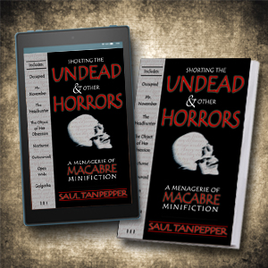 Amazon.com: Live Another Play: A Zombie Apocalypse Thriller from the World of Gameland ...