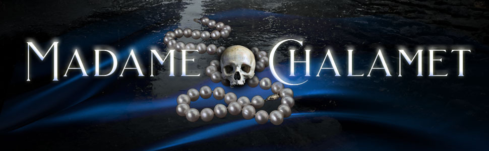 Amazon.com: Spirit Guide: A Gaslamp Ghost Mystery Volume 3 (Madame Chalamet Ghost Mysteries ...