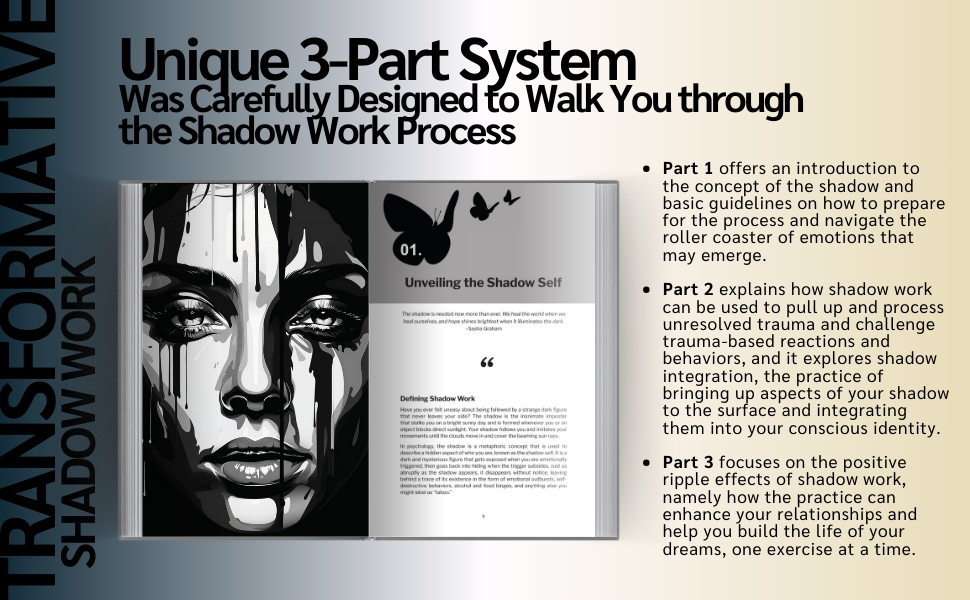 Amazon.com: Transformative Shadow Work: Guide, Workbook & Journal—The 3-Step System to Embrace ...