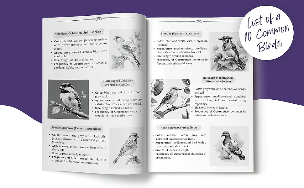 Bird Watching Log Book: Birding Journal for Nature Lovers and Bird Watchers, Field Notebook for ...