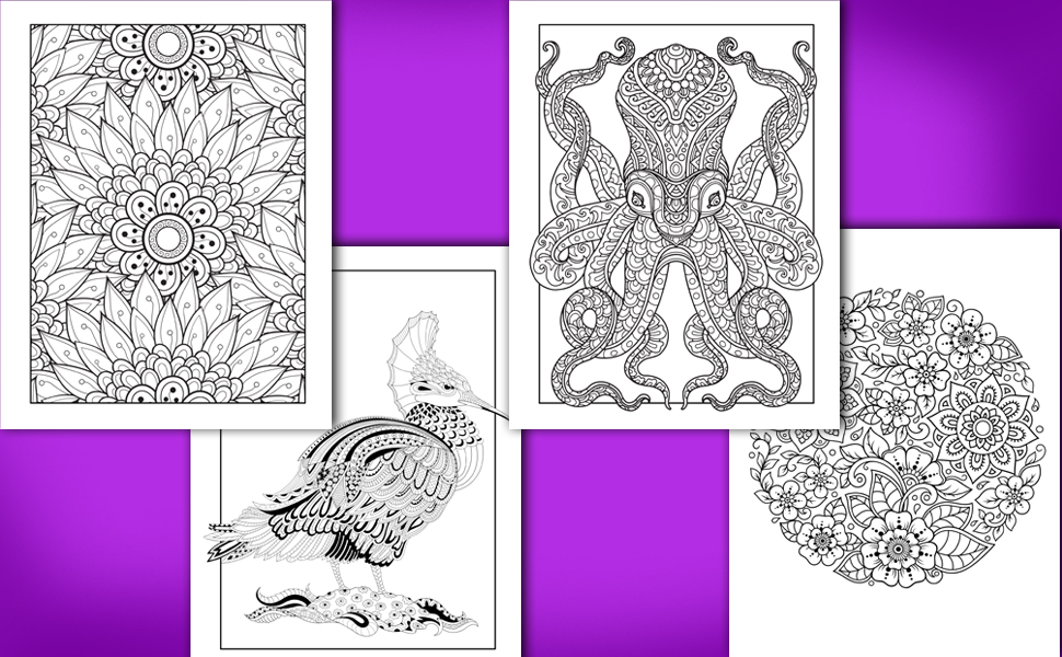 Amazon.com: Mindfulness Adult Coloring Book : Stress Relieving Designs ...