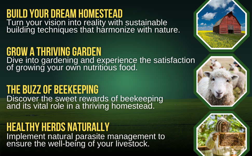 Amazon.com: Homesteading for Beginners: The Ultimate Self-Sufficiency Guide to Country Living ...