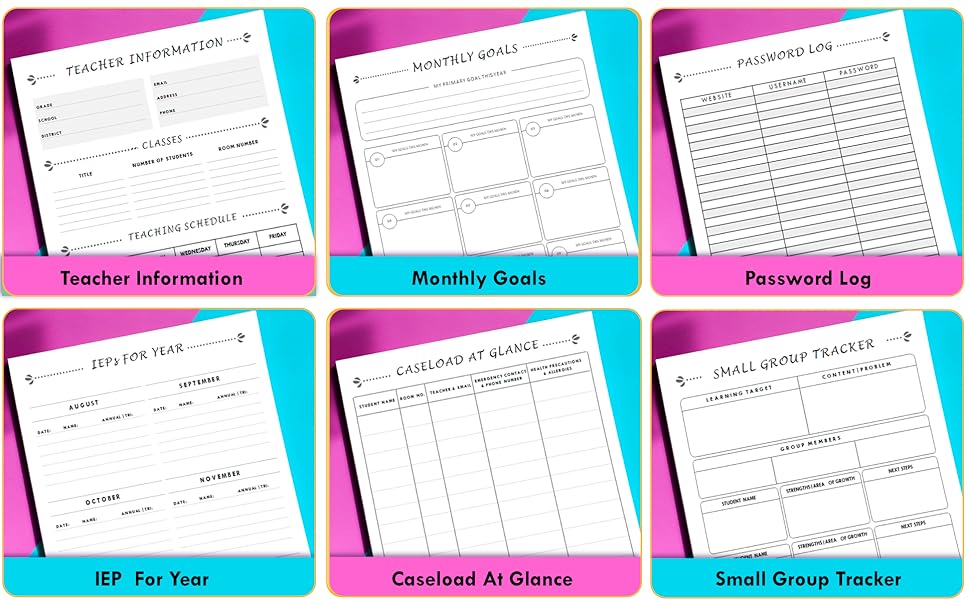 IEP Caseload Planner 2023-2024: A special Education Teachers for 30 ...