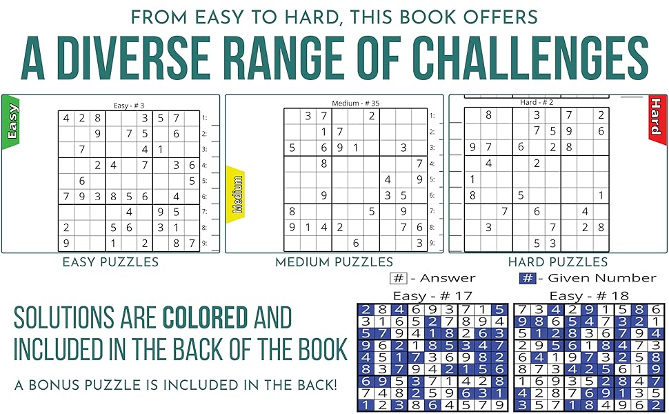 Large Print Sudoku Puzzle Book: 300 puzzles Easy, Medium and Hard ...