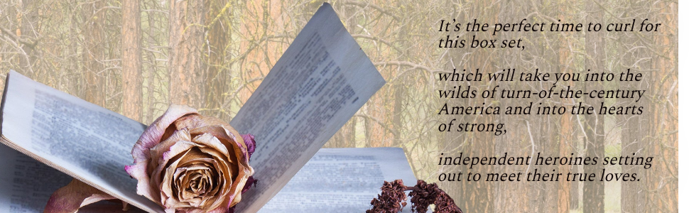 Amazon.com: Valentine Frontier Sweet Romance: Clean Western Christian Romance (Mega Box Set ...