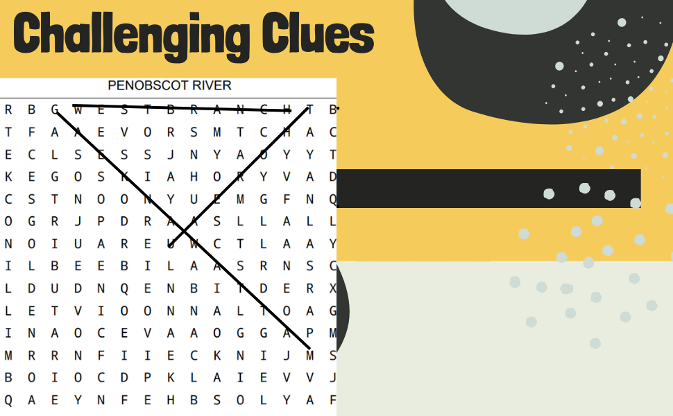 Large Print Maine Word Searches: 200 Find-a-Word Puzzles about the Pine ...