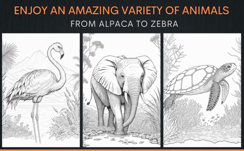 101 Animals Coloring book Vol. 1: Great Gift for Boys & Girls Ages 4-8 ...