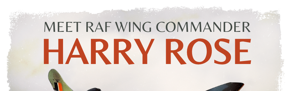 Amazon.com: TEMPEST GLORY a gripping WWII historical action thriller (Harry Rose Book 5) eBook ...