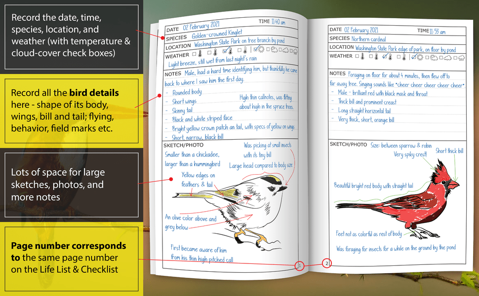 Bird Watching Journal with Life List & Checklist: An Ideal Birding Gift for Bird Lovers ...