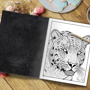 Amazon.com: Mandala Coloring Book Animal Collection: Adult Coloring Book, Stress Relieving ...