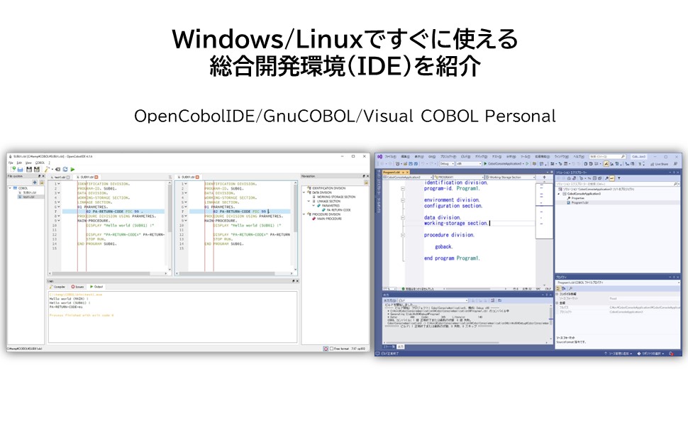 Amazon.co.jp: COBOLの現在と未来: COBOLの基礎から将来性まで解説！移行ポイント、求人動向、年収に迫る！ eBook : ITの魔力: Kindleストア