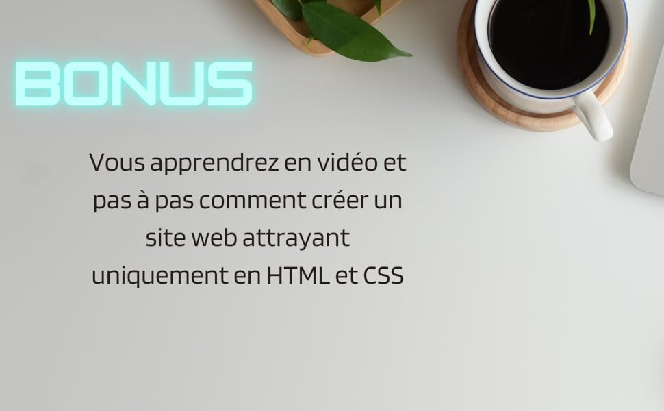 Maitriser HTML et CSS : du Débutant à Expert: Apprendre la conception ...