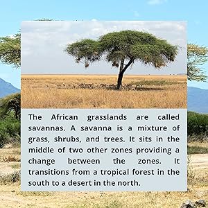 African Animals of the Savanna: Featuring Photos and Fun Educational ...