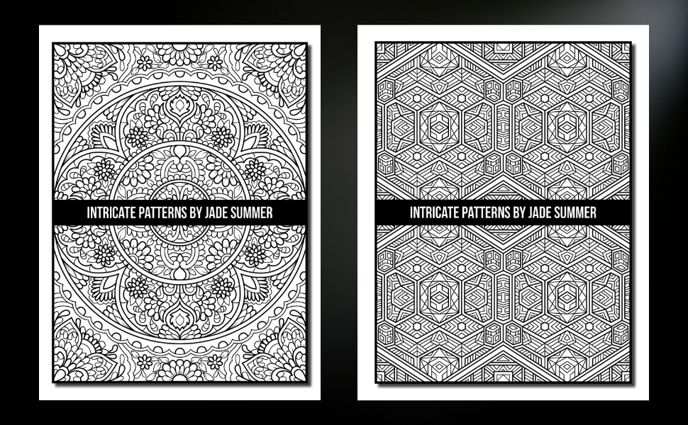 Intricate Patterns: An Adult Coloring Book with 50 Detailed Pattern ...