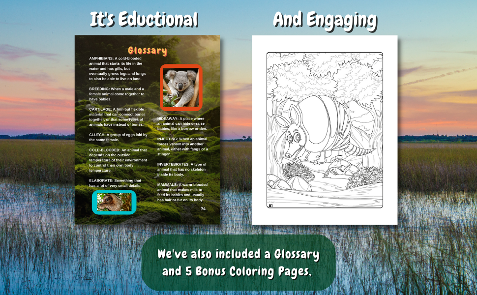 A Kingdom of Wild Animals: Over 700 Facts!: Rodriguez, Lucia, Rodriguez, Carina: 9780578273150 ...