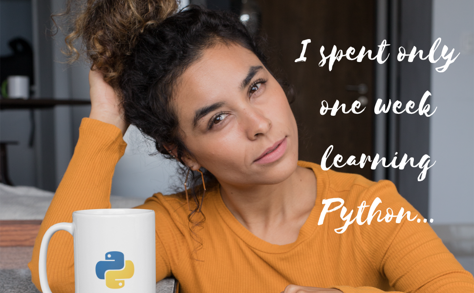 Python Programming for Beginners: Ultimate Crash Course From Zero to ...