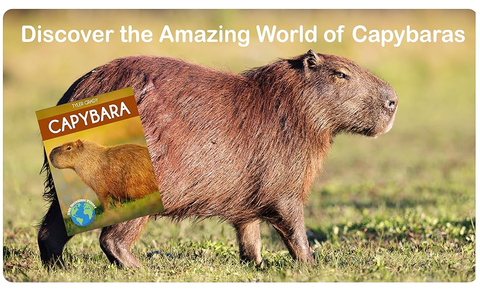 Capybara: Fascinating Animal Facts for Kids (This Incredible Planet ...