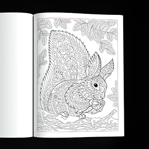 Amazon.com: Amazing Animals: Adult colouring Book,Mandala Animal Designs for mindful coloring ...