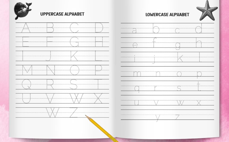 Amazon.com: Primary Composition Notebook: Unicorn Themed - Draw and Write Wide Ruled Journal ...