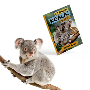 All Things Koalas For Kids: Filled With Plenty of Facts, Photos, and ...
