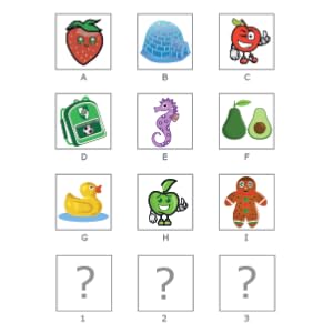 WISC-V Test Preparation Book: Practice for WISC-V Test with Picture ...