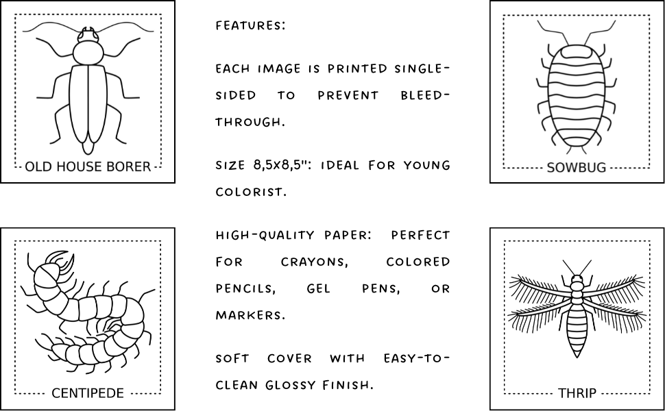 Bug Coloring Book: Educational Coloring Pages of Realistic Insects for ...