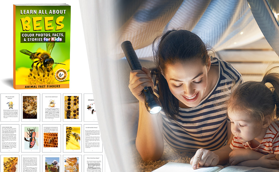 Learn All About Bees: Color Photos, Facts, and Stories for Kids ...