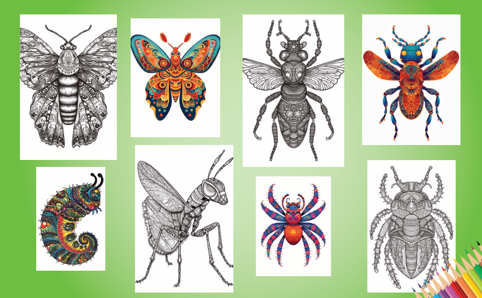 Amazing Insect Mandalas Coloring Book For Adults With Positive Quotes ...