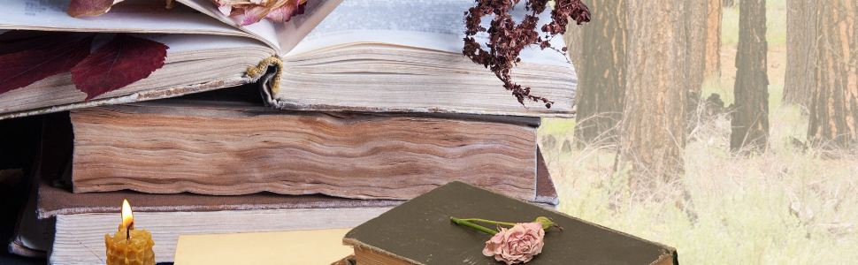 Amazon.com: Valentine Frontier Sweet Romance: Clean Western Christian Romance (Mega Box Set ...