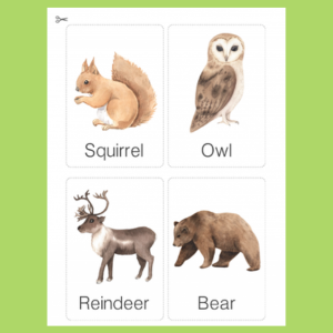 Wildlife Tracks PreK - 1 Learning Adventure: Identify 15 Animal ...