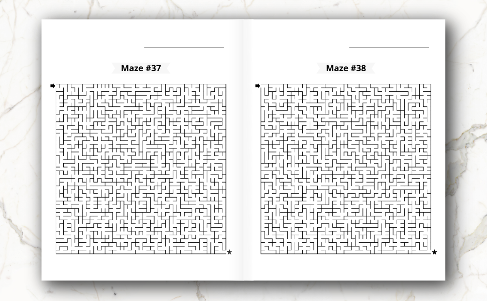 Amazon.com: Maze Puzzle Book for Adults with Solutions Volume 2: Large ...