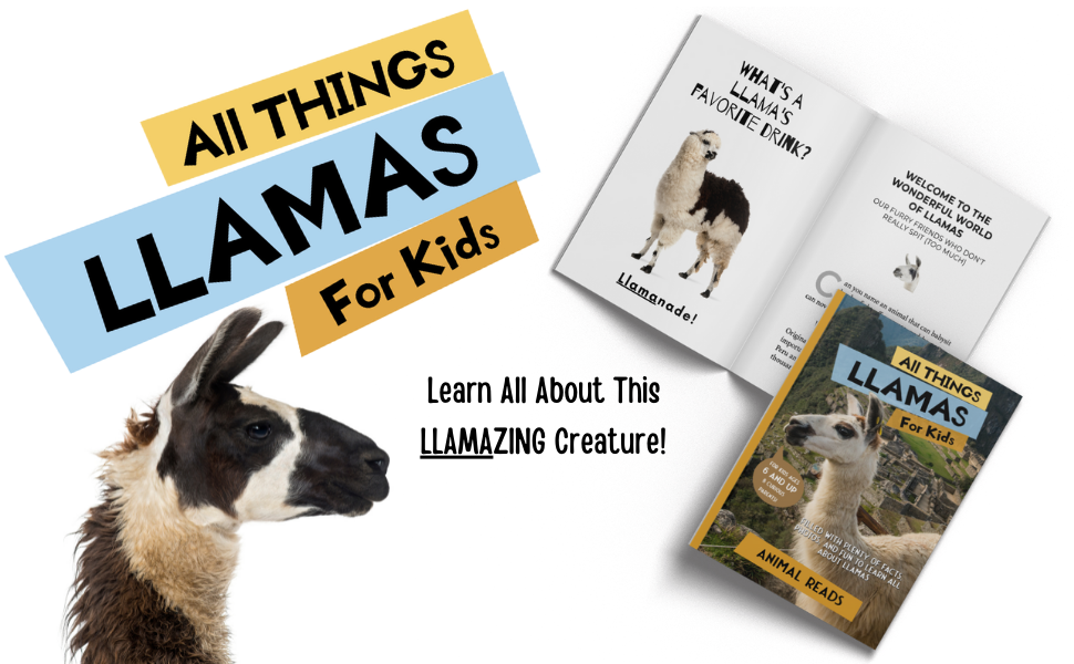 All Things Llamas For Kids: Filled With Plenty of Facts, Photos, and ...