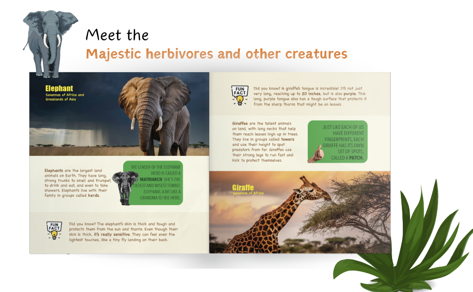 Savannas: Kids Savanna Life Encyclopedia with Fun Facts and Pictures of ...
