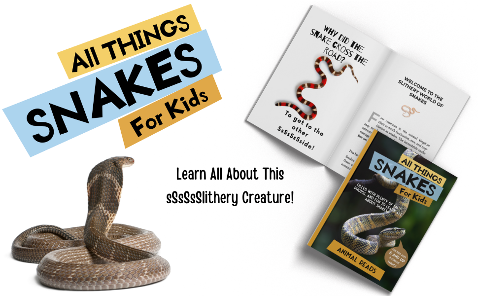 All Things Snakes For Kids: Filled With Plenty of Facts, Photos, and ...
