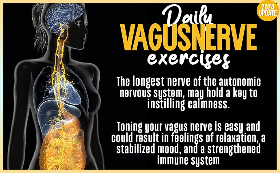 DAILY VAGUS NERVE EXERCISES: Learn How to Stimulate & Activate the Power of the Longest Nerve in ...
