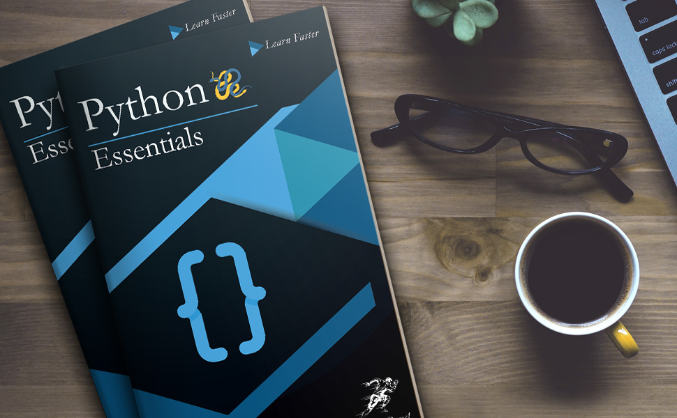 Buy Python Essentials: Python Crash Course in Only 49 Pages! No More ...