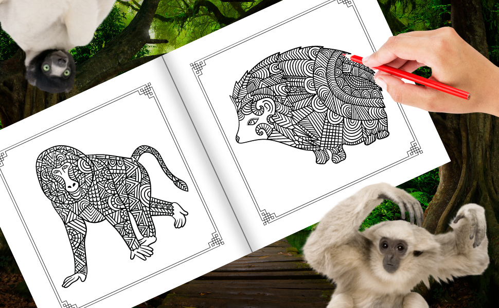 Amazon.com: Mindfulness Animal Coloring Book: Adult Coloring Book, Stress Relieving Mandala ...
