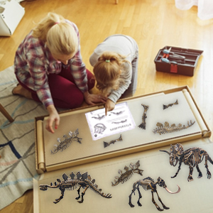 Amazon.com: 5 Different Dinosaur Skeleton Puzzles Model Set 3D Puzzles ...