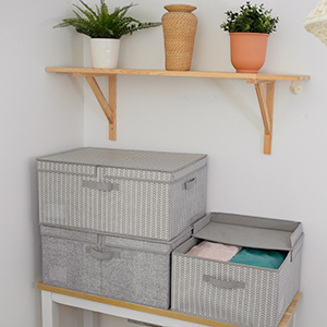 Amazon.com: GRANNY SAYS Storage Bins with Lids, Decorative Storage ...