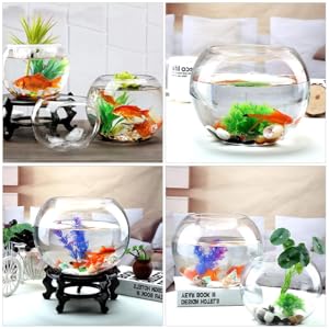 Amazon.com : GANAZONO Round Glass Fish Bowl Clear Portable Desktop Tank for Goldfish Hydroponics ...